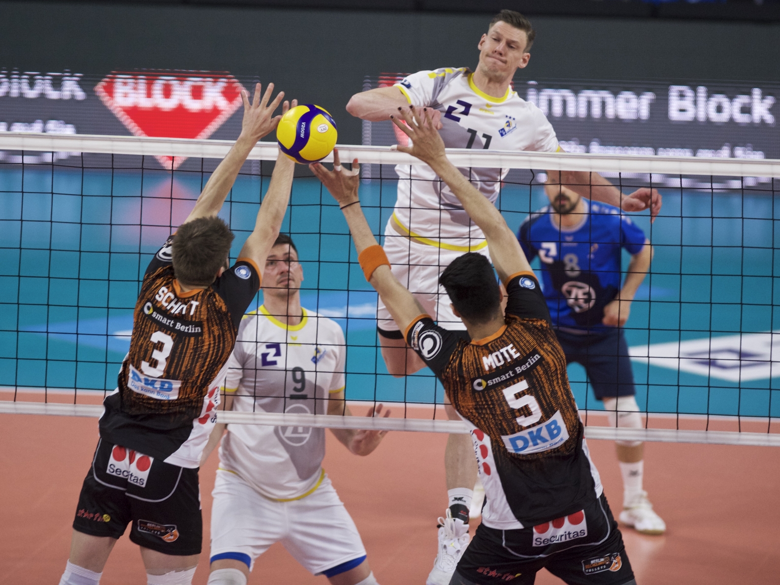 VfB Friedrichshafen Volleyball